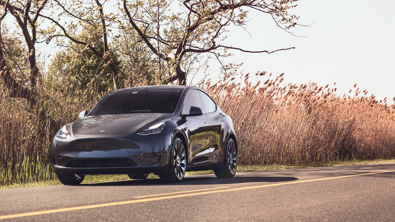 特斯拉 Model Y 电池的实际使用寿命是多长 - Wwtyrd.com