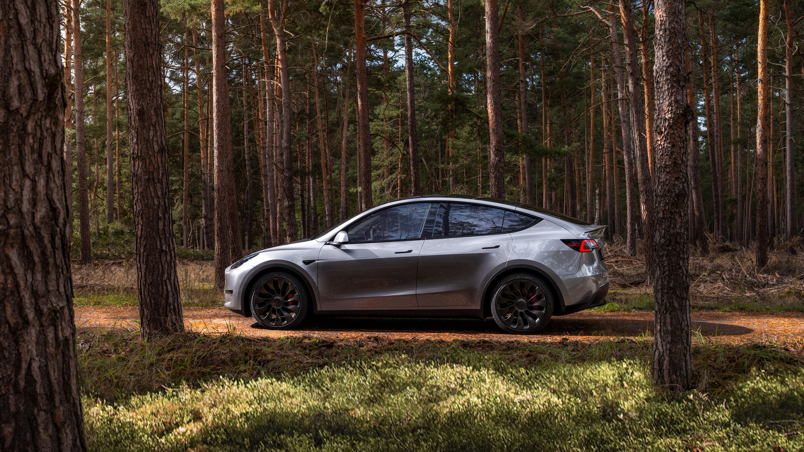 特斯拉 Model Y 的实际续航里程是多少 - Wwtyrd.com