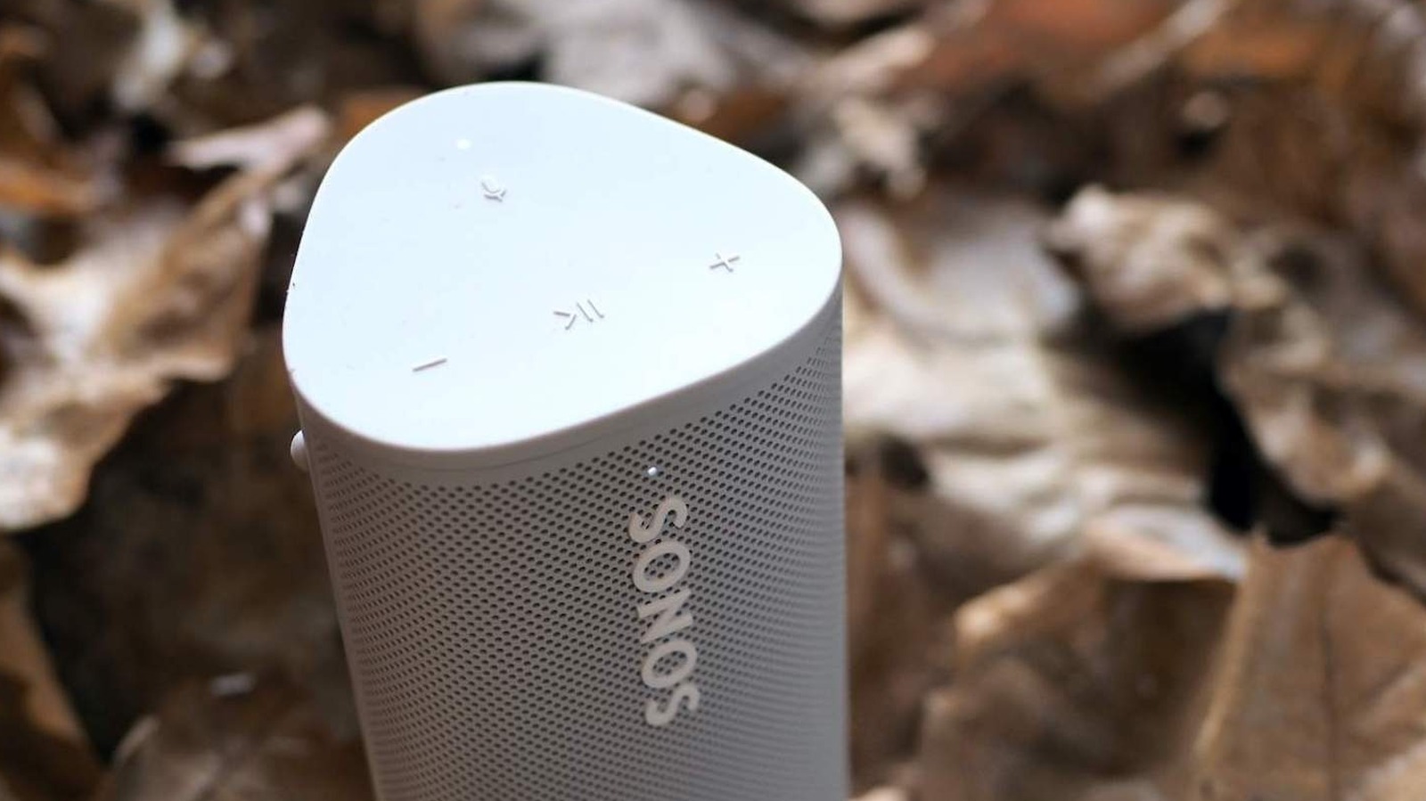 Sonos 语音控制是 Alexa 和 Google 的隐私优先替代方案 - Wwtyrd.com