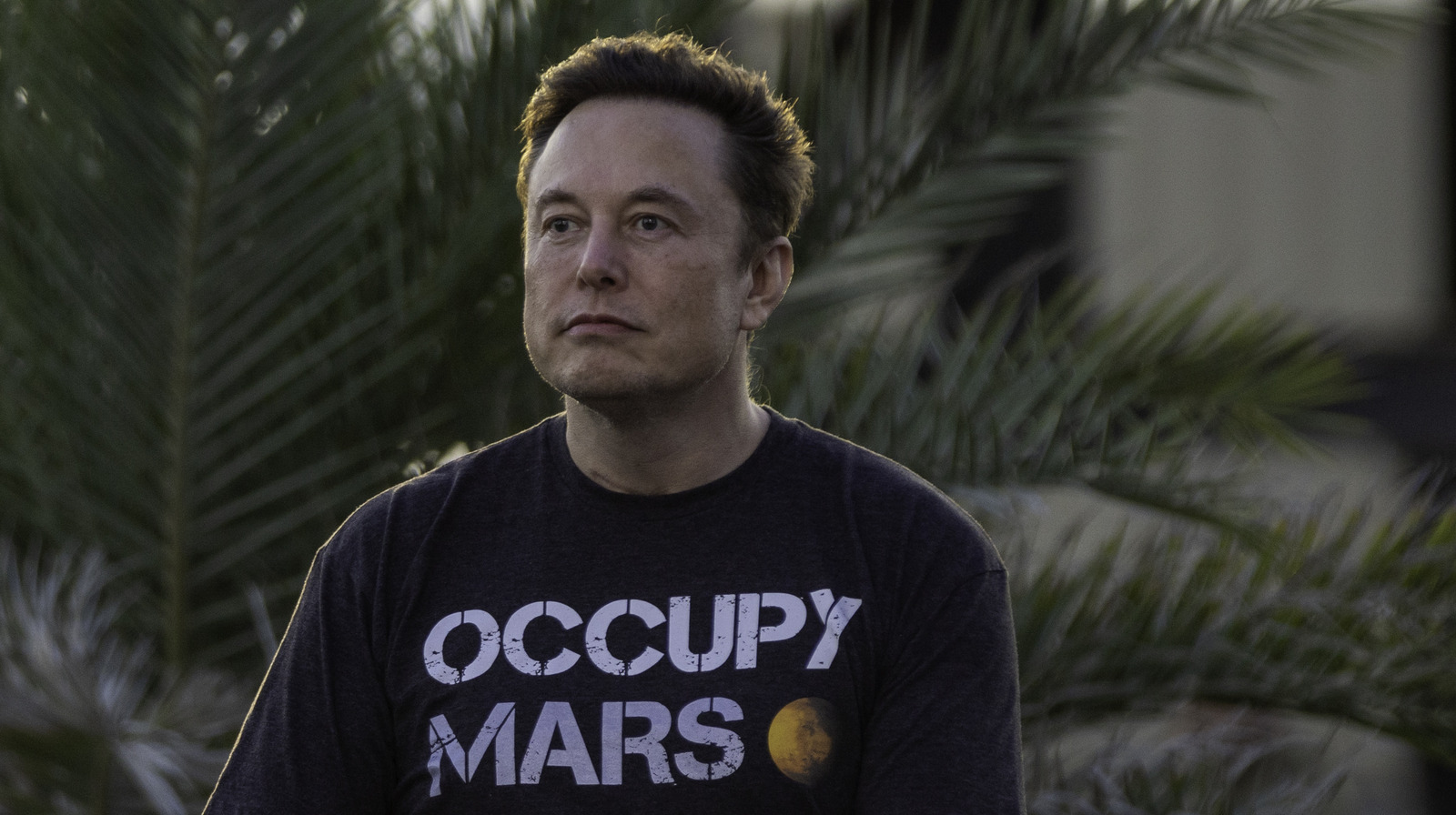 据报道，特斯拉正在计划裁员。 马斯克的推特滑稽动作是罪魁祸首吗？ - Wwtyrd.com