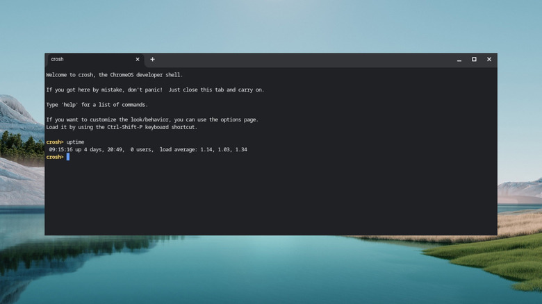 顶级crosh命令所有Chromebook用户都需要知道 - Wwtyrd.com
