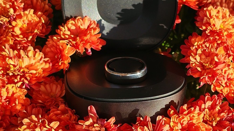 RingConn Gen 2 评测：智能环指日可待 - Wwtyrd.com