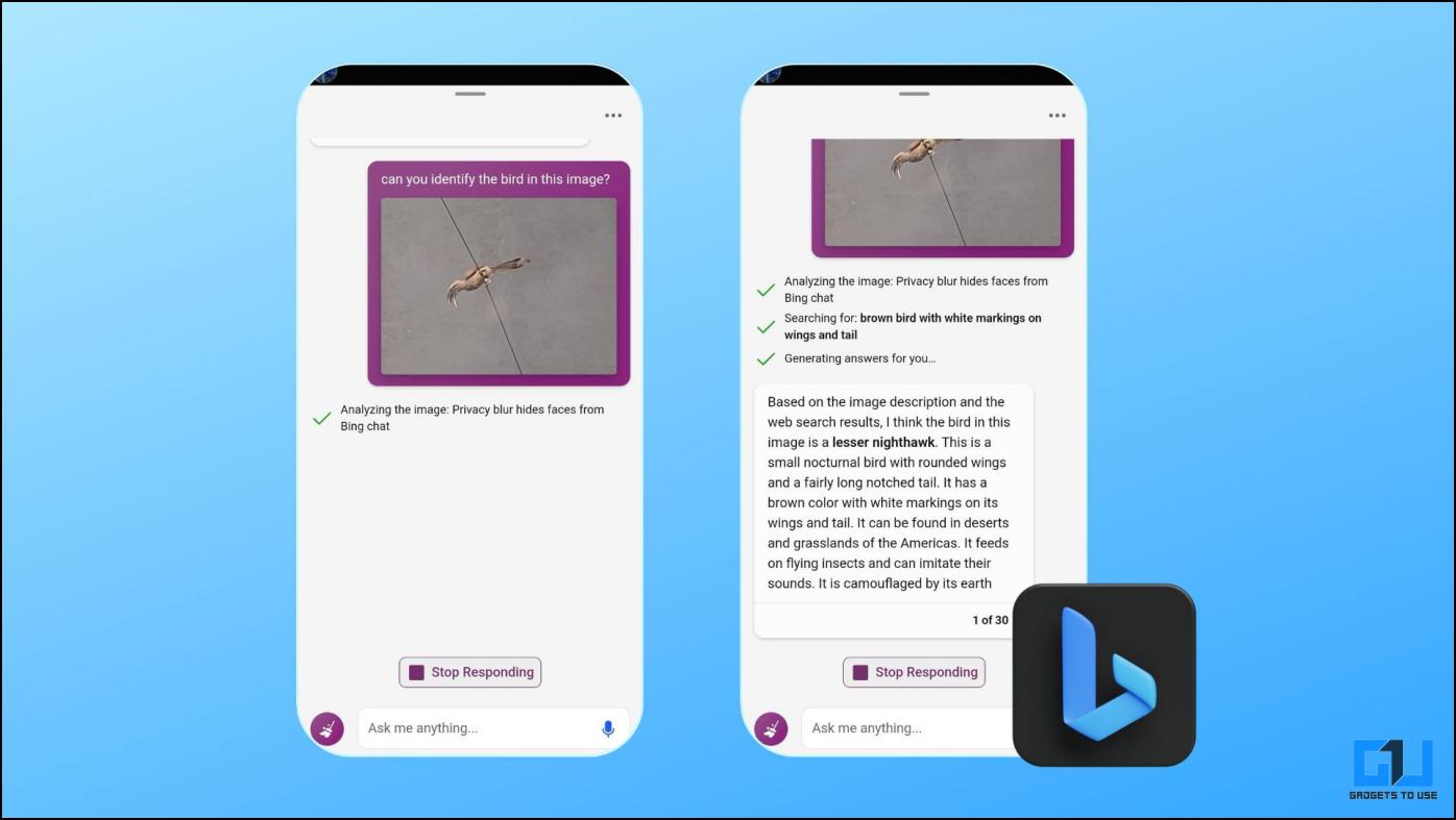 什么是 Bing 聊天视觉搜索？它的优点以及如何使用？ - Wwtyrd.com
