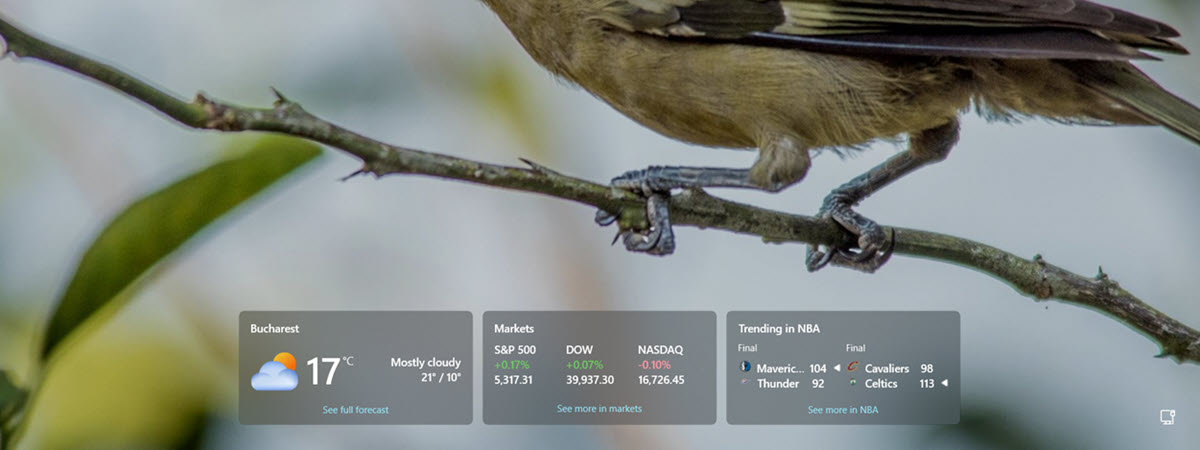 如何从 Windows 11 和 Windows 10 中删除锁定屏幕小部件 - Wwtyrd.com