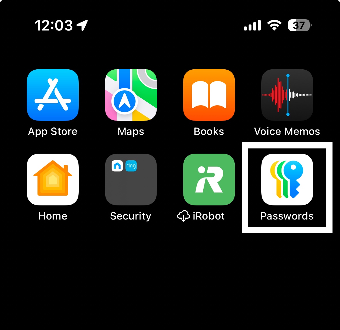 iOS 18 更新后 iPhone 上的密码图标丢失