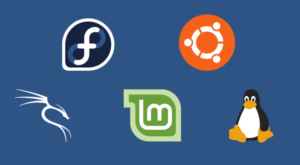 Linux 初学者指南 – 您需要了解的一切