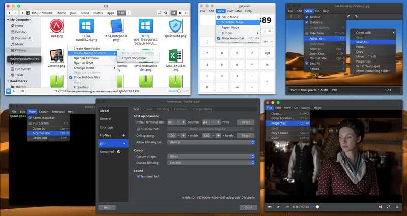 15 个最佳 Linux Mint 主题 - Wwtyrd.com