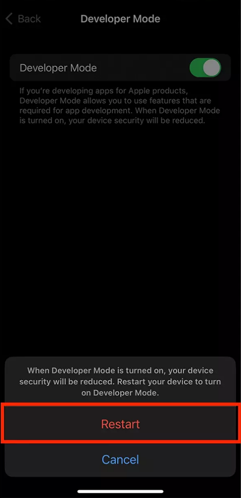 如何在 iPhone 或 iPad 上启用开发者模式（iOS 开发者模式） - Wwtyrd.com